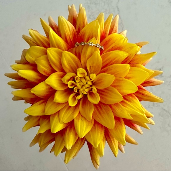Ef Collection | Jewelry | Ef Collection 4k Yellow Gold 5 White ...